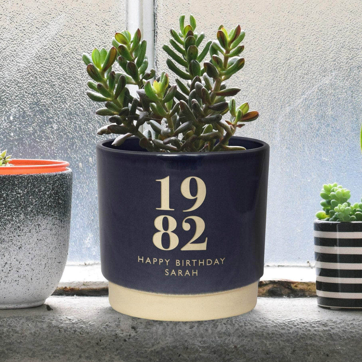 Personalised birthday indoor plant pot - The Perfect gift for birthdays ...