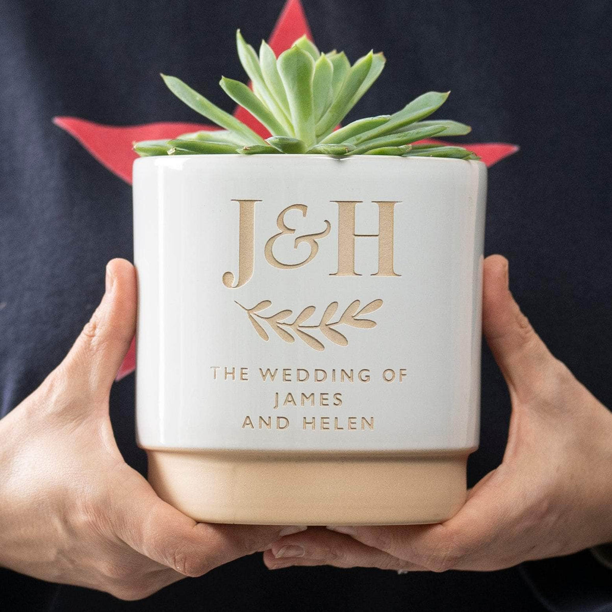 Personalised couples indoor plant pot – Letterfest