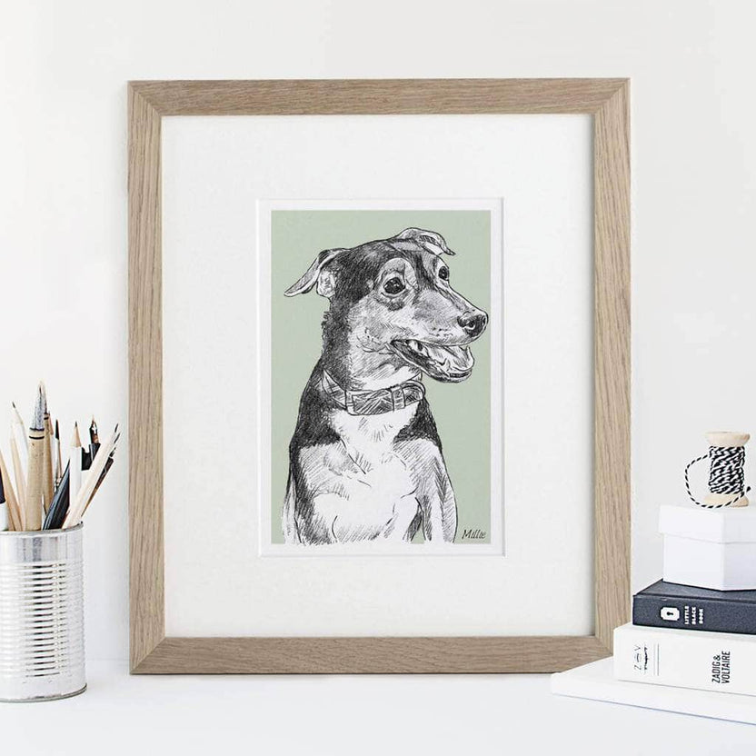 Bespoke Pet Illustration – Letterfest