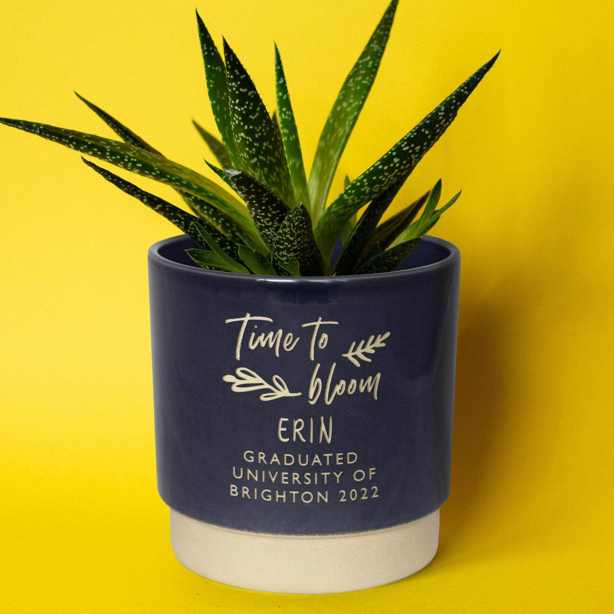 Personalised graduation indoor plant pot – Letterfest