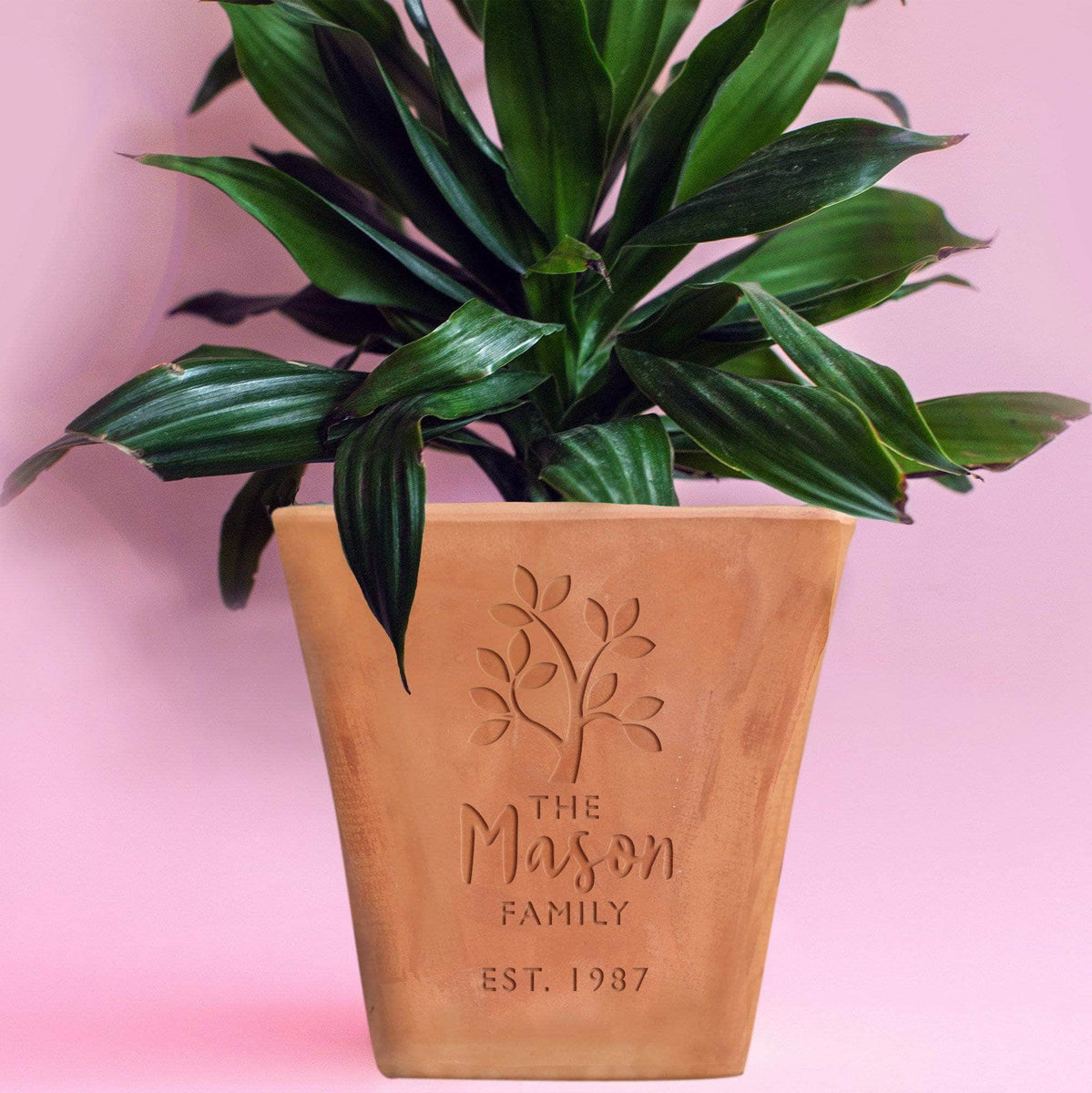 Personalised Family Tree Pot - The perfect hand engraved gift. – Letterfest