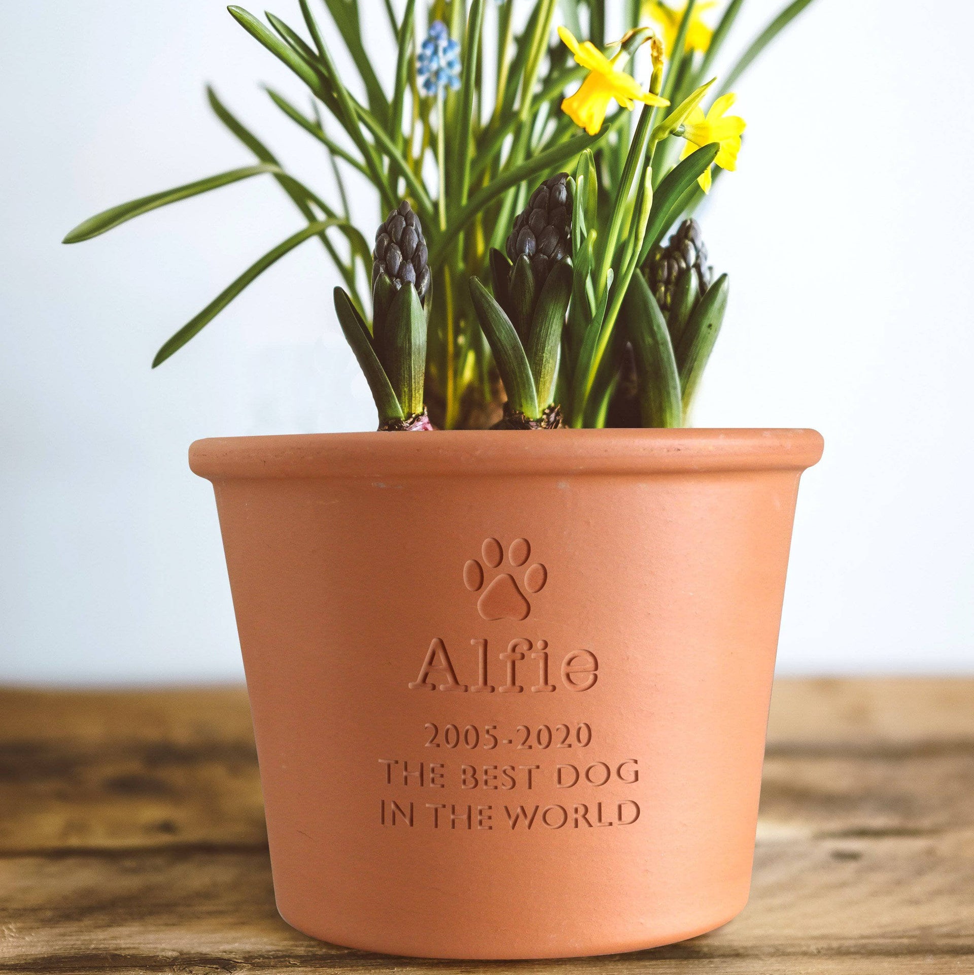 Personalised Plant Pots & Terracotta Planters – Letterfest