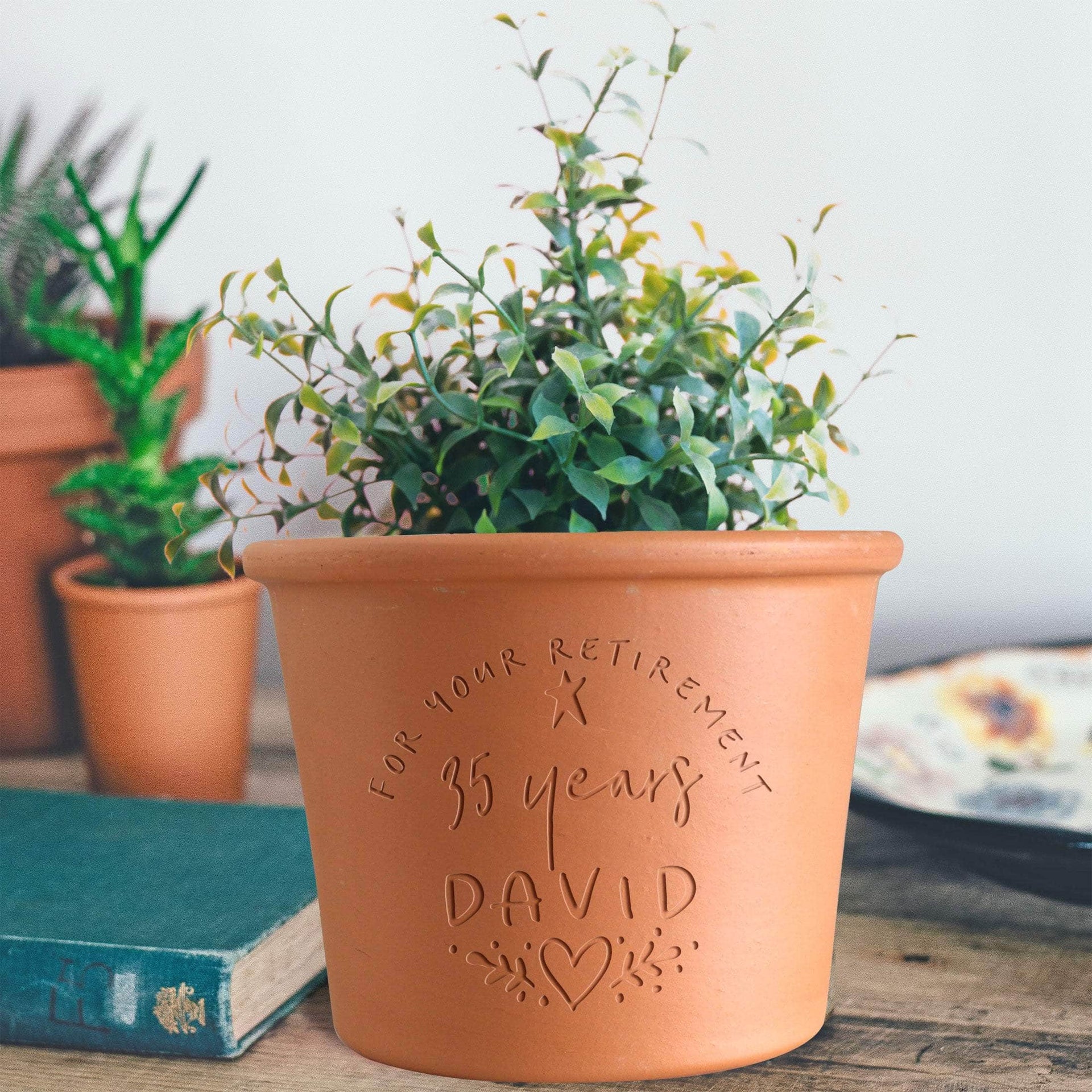 Personalised Plant Pots & Terracotta Planters – Letterfest