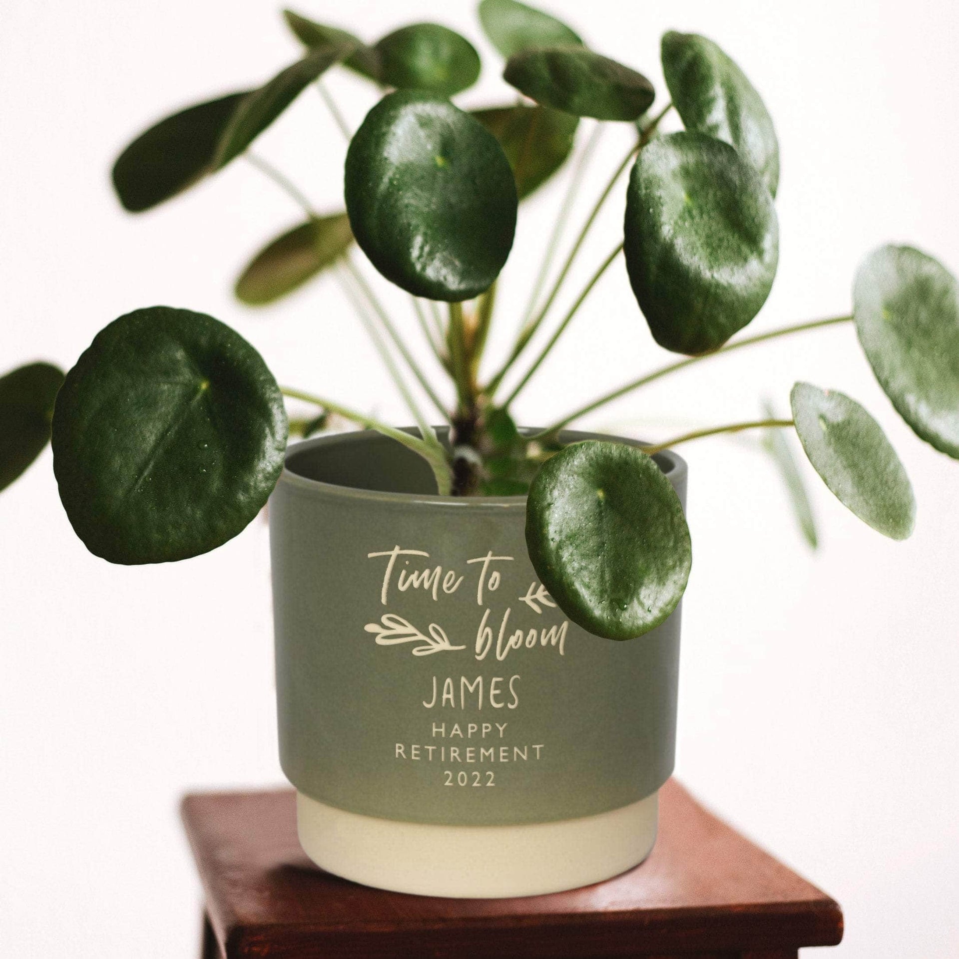 Personalised retirement indoor plant pot - a pefect retirement gift ...