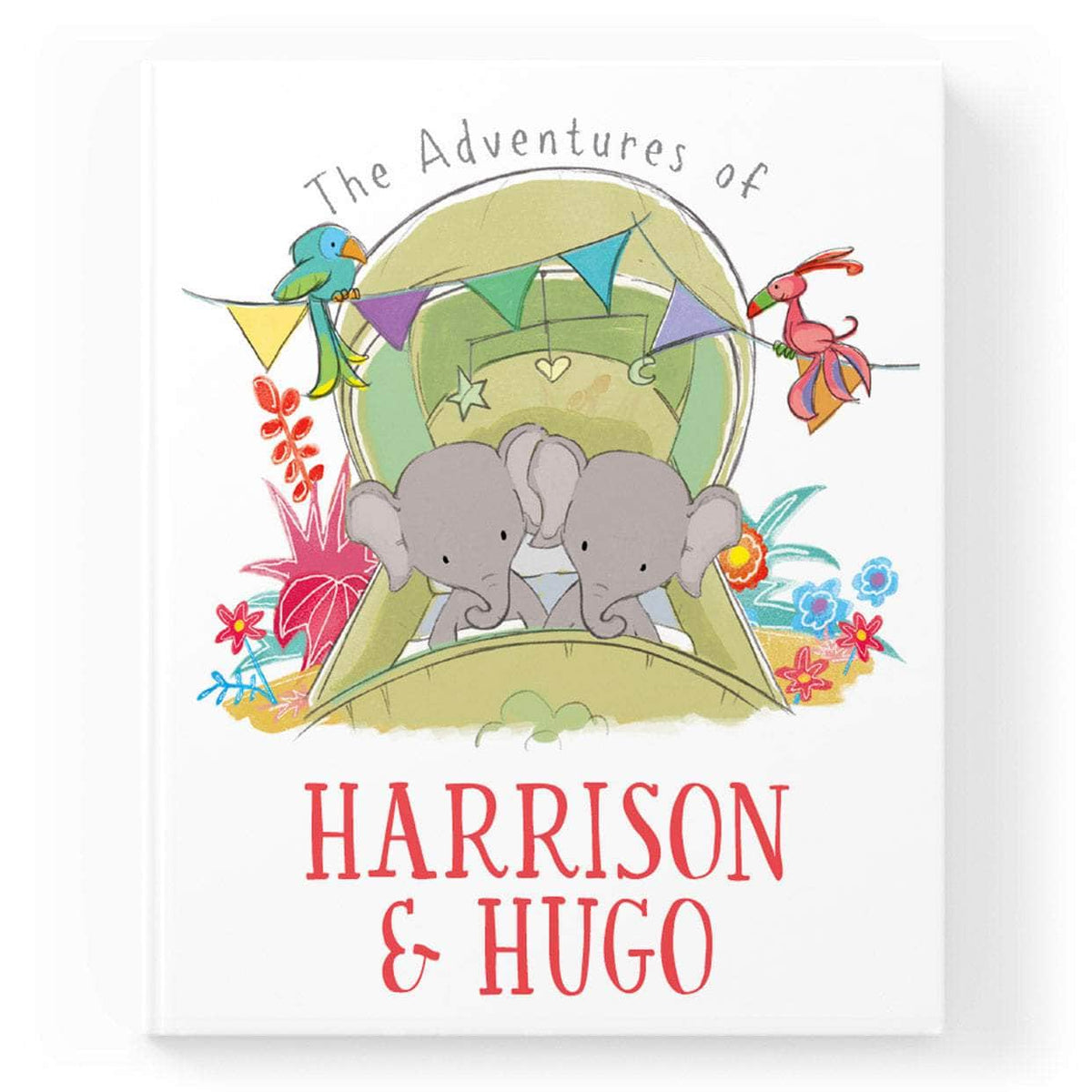 Personalised Twins Story Book - The Perfect Keepsake Gift – Letterfest